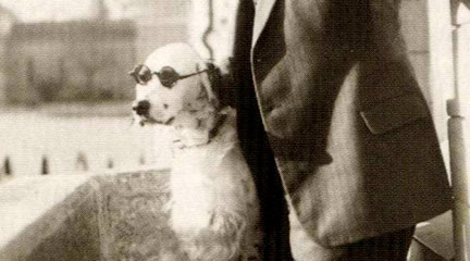 Documents: Hitler-mocking dog enraged Nazis | khou.com