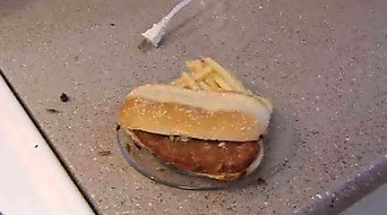 Family under seige: Roaches invade East Houston apartment | khou.com