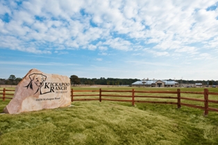 Animal Attraction: It's a "Pawty" at the Kickapoo Ranch Pet Resort ...