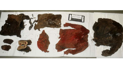 Medical examiner: Unidentified body found in wooded area off S. Post ...