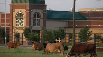 Police: Katy ISD teacher facing charges for throwing glass bottle at ...