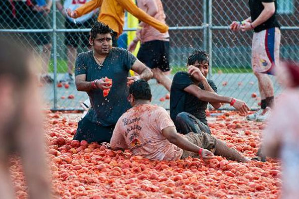 Tomatoes fly at Dallas Fair Park food fight | khou.com
