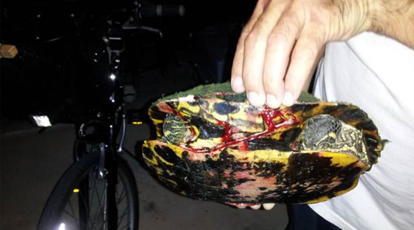 Pearland kids charged with animal cruelty for allegedly torturing ...