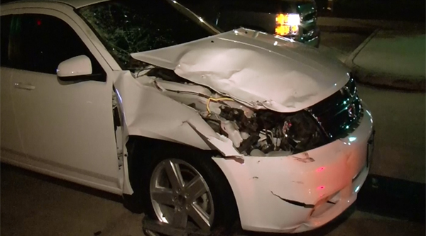 Car hits, kills cow running across North Freeway in north Houston ...