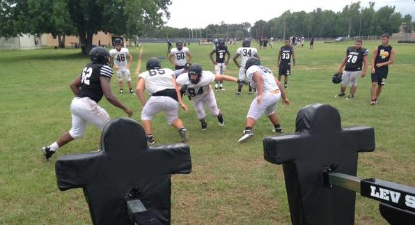 Group of hogs ruin high school football field | khou.com