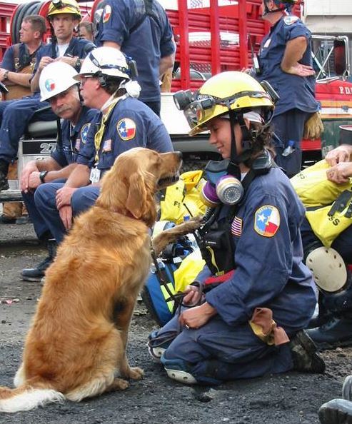 Firefighters say goodbye to last 9/11 search-and-rescue hero | wltx.com