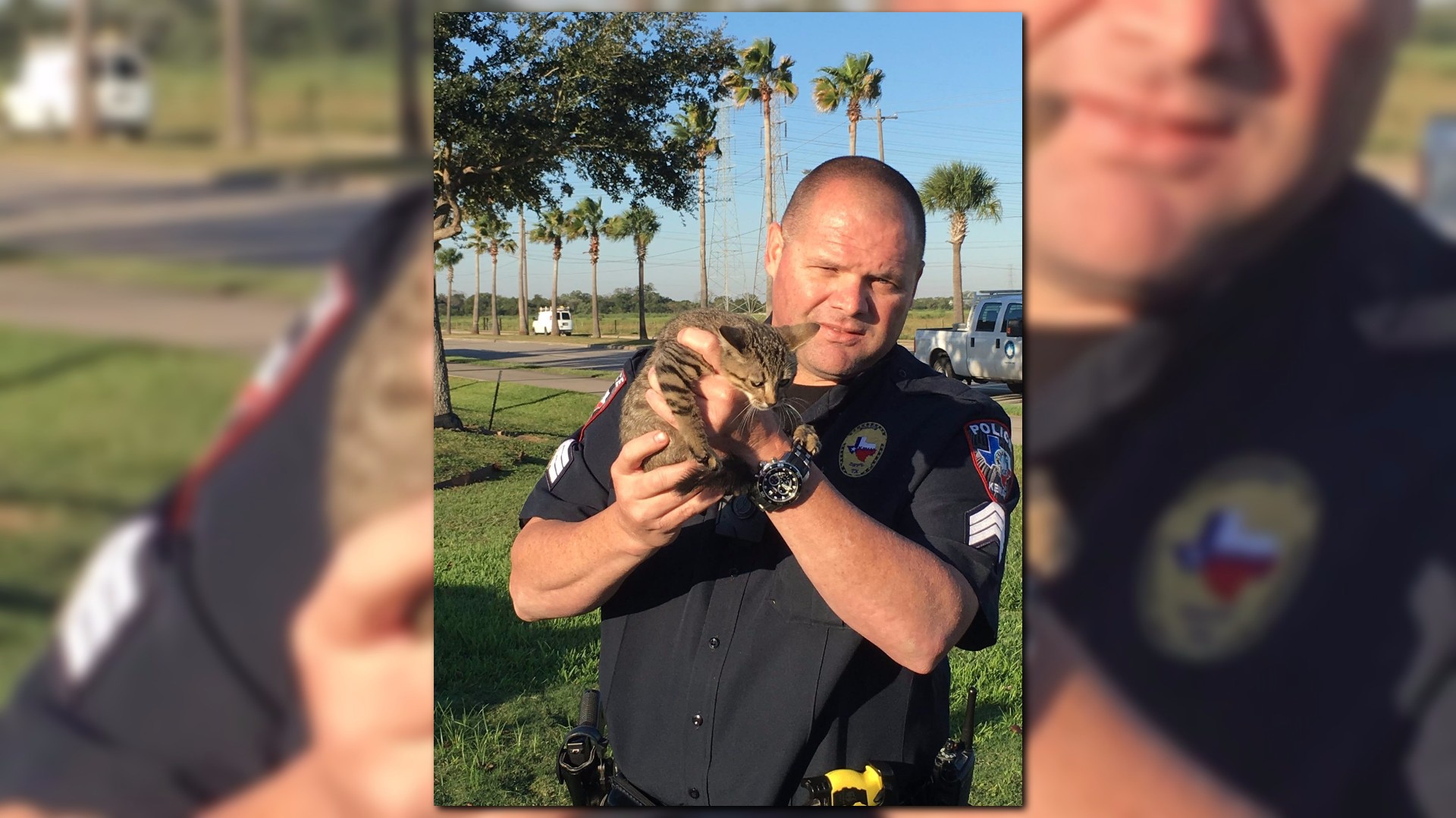 Kemah police rescue kitten stuck in drain | khou.com