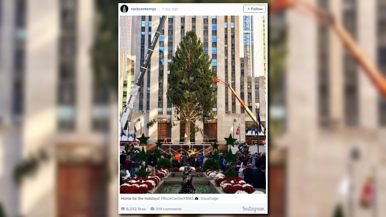 Rockefeller Center Christmas tree arrives in NYC | khou.com