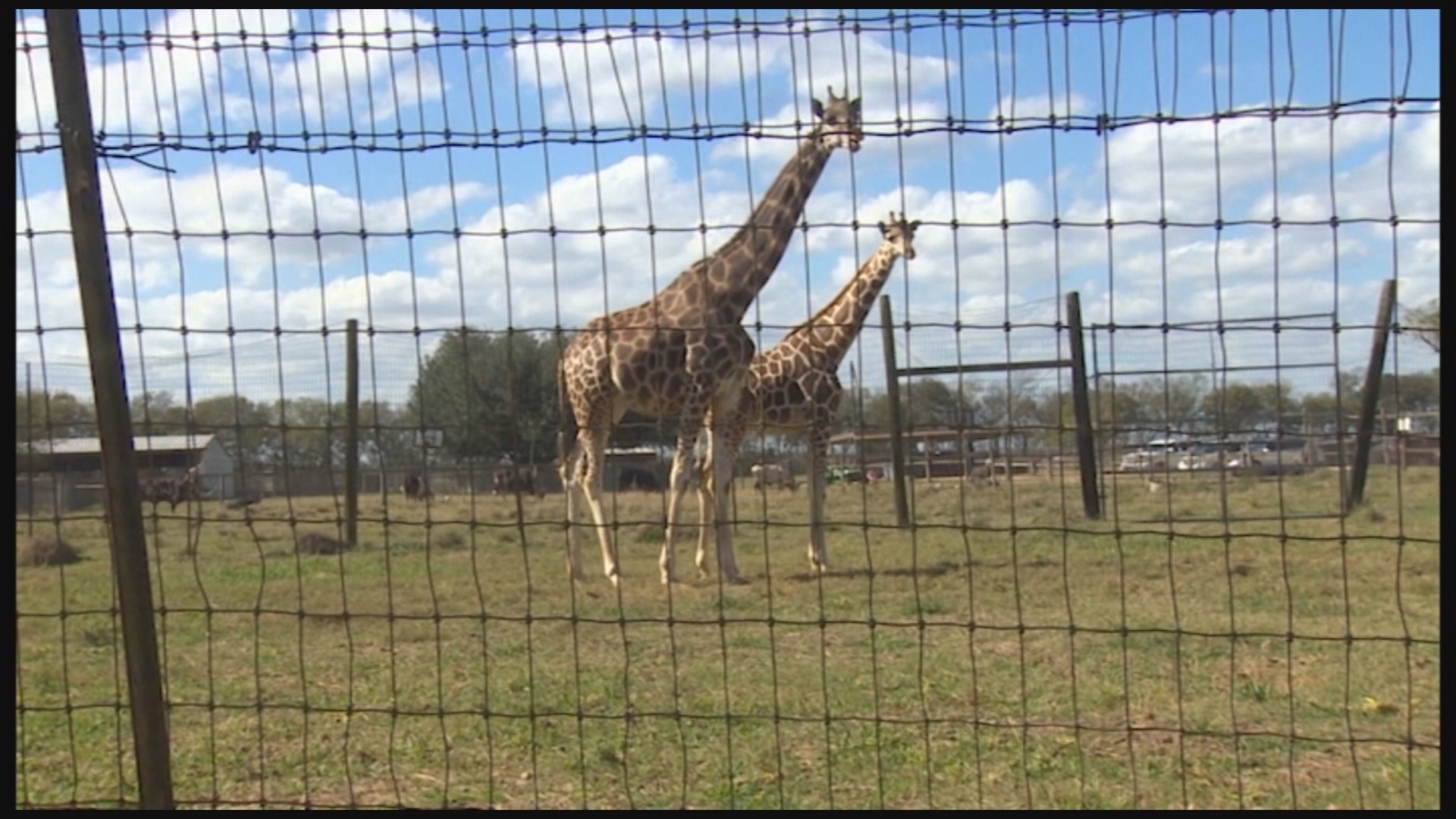 Wildlife park in Alvin sold to Friendswood couple | khou.com