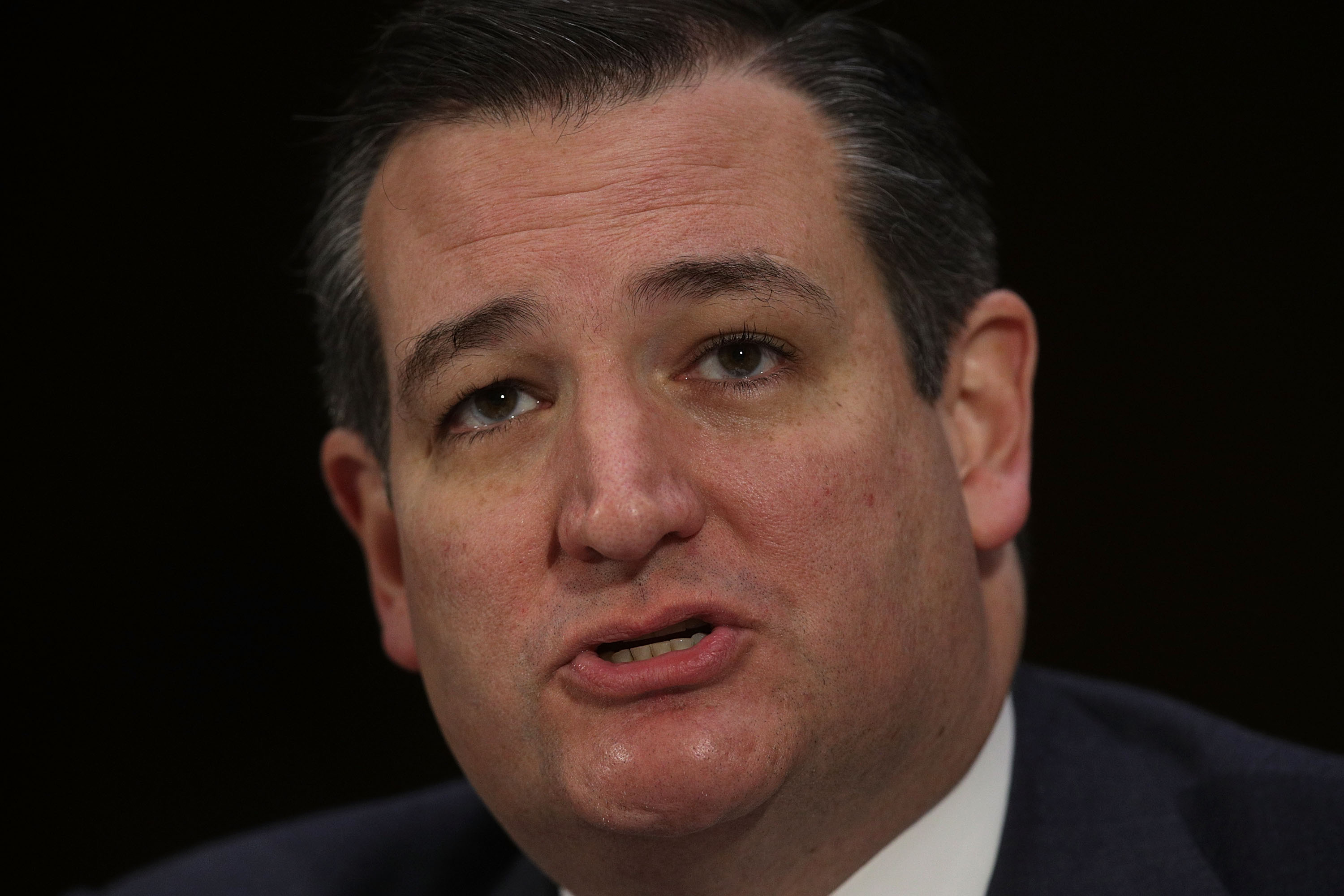 Ted Cruz, Bernie Sanders rumble in health care debate | khou.com