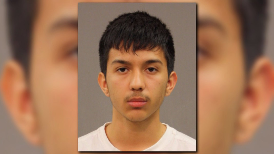 Bald eaglet rescued after mom killed by teen | khou.com