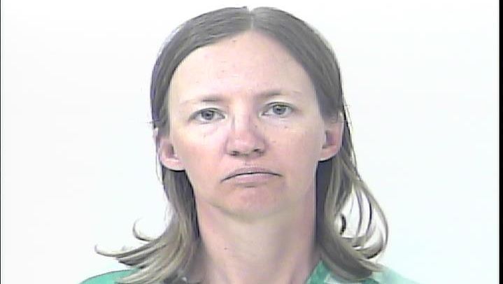 Woman arrested at Mets stadium says she's in relationship with Tim ...