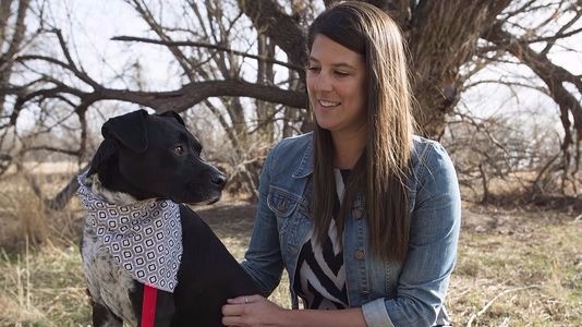 Marijuana poisoning poses serious risk for dogs | khou.com