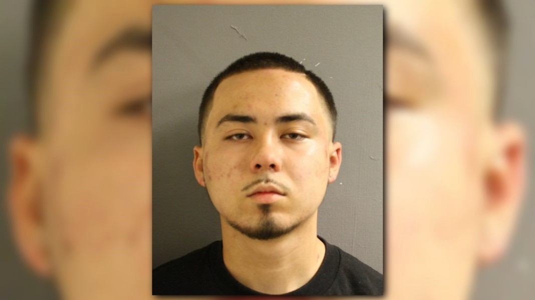 17-year-old arrested for allegedly punching deputy in face | khou.com