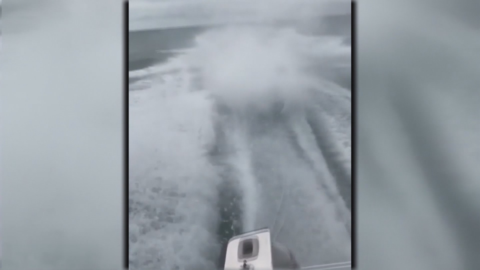 Shark dragged behind high-speed boat in video sparks investigation in ...