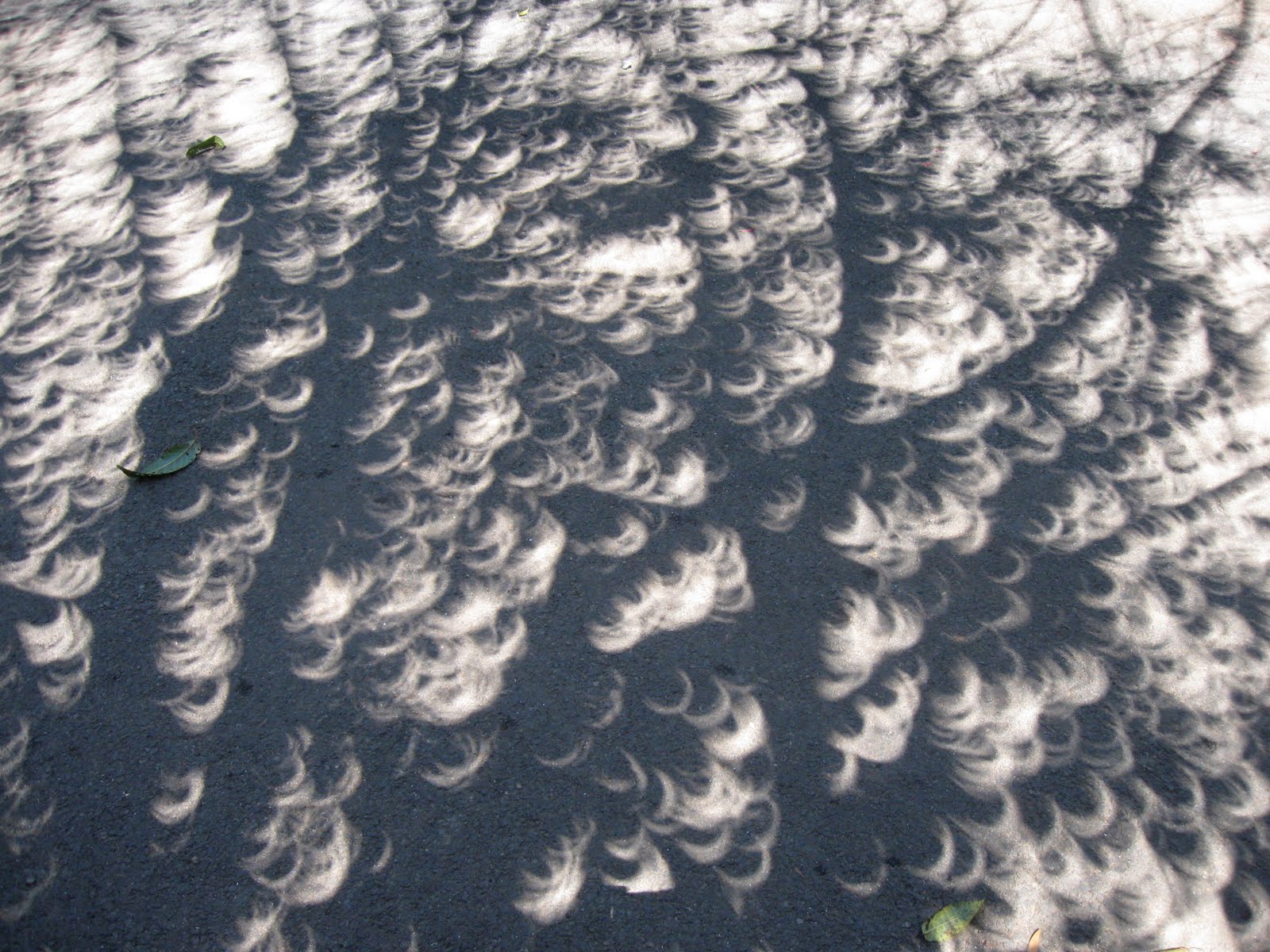 The Houston eclipse feature no one is talking about | khou.com
