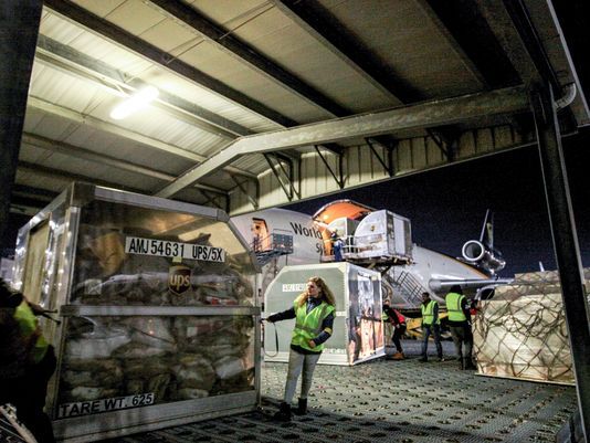 UPS handles millions of packages a day. This is what that looks like ...